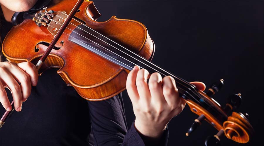 Consejos Y Tips B sicos Para El Cuidado De Tu Viol n